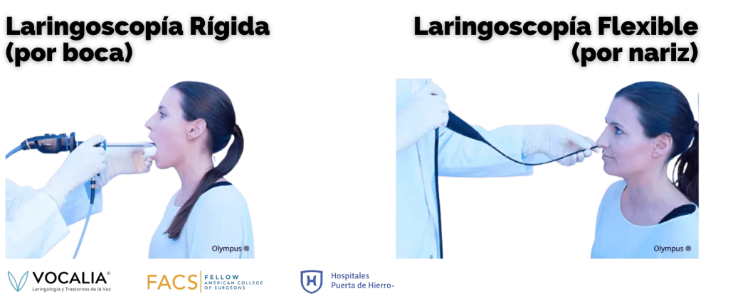 Endoscopías De Oídos, Nariz Y Garganta | Vocalia ® Otorrinos